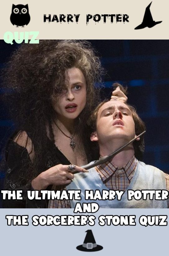 The Ultimate Harry Potter And The Sorcerer’s Stone Quiz – Monster Quiz